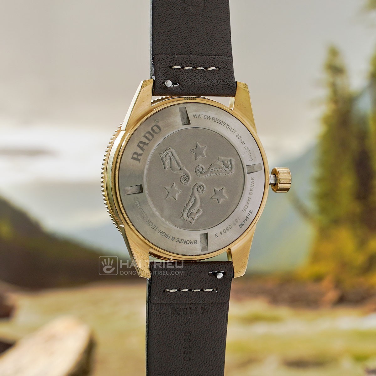 Đồng hồ Rado Captain Cook R32504315 chính hãng 100%