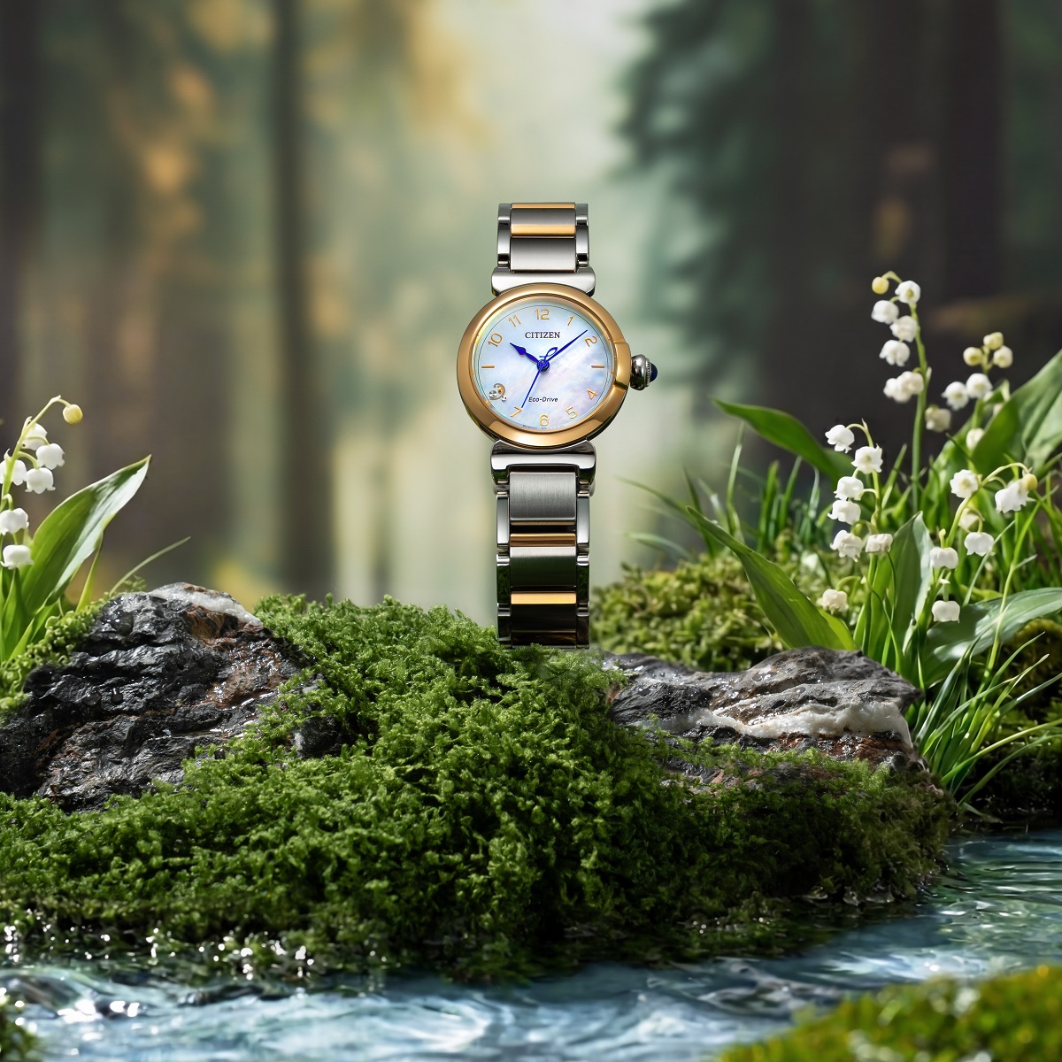 Đồng hồ Citizen L EM1136-87D Eco-Dive chính hãng 100%