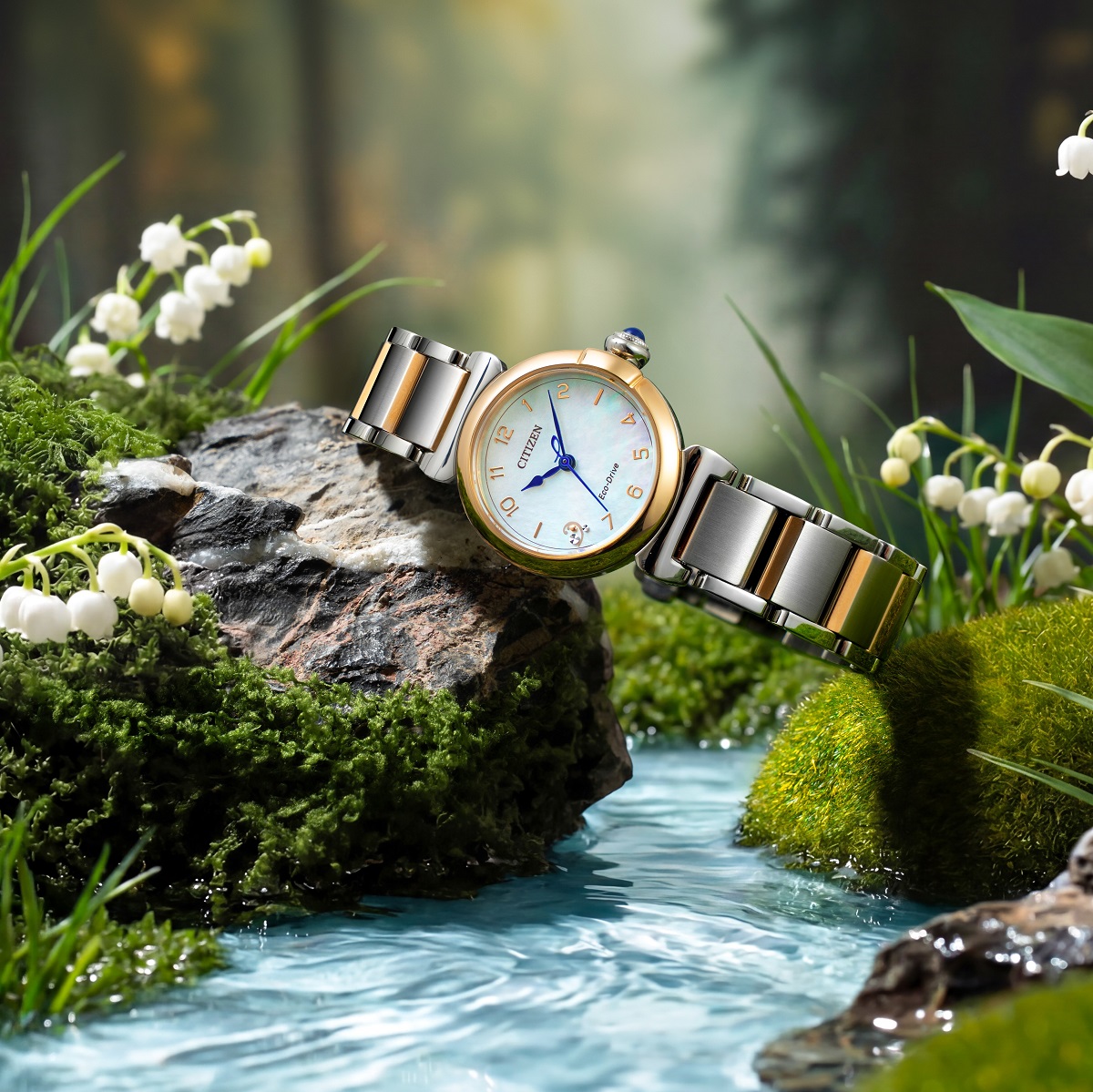 Đồng hồ Citizen L EM1136-87D Eco-Dive chính hãng 100%
